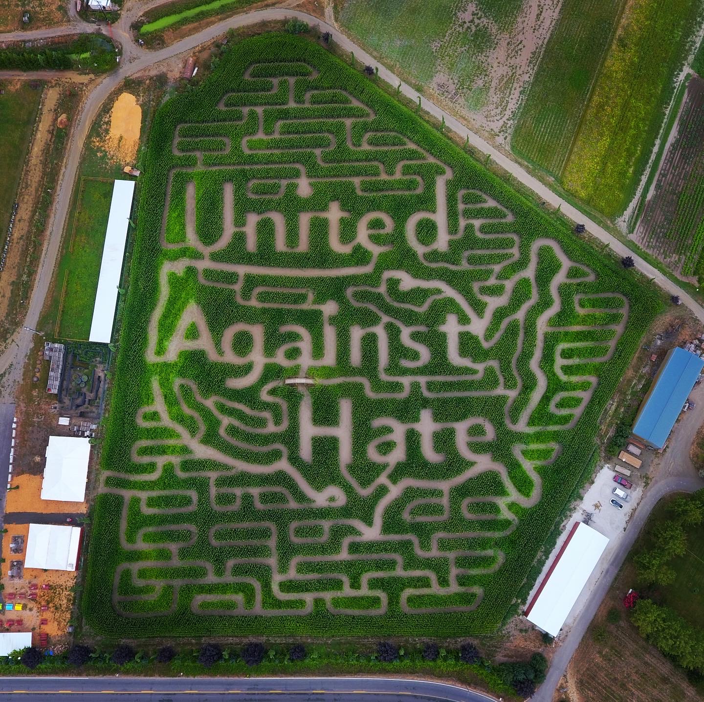 Pumpkin Patch & Corn Maze - Bella Organic Farm - Organic Farm and ...