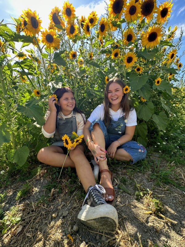 4th Annual Sunflower Festival & U-Cut - Bella Organic Farm - Organic ...