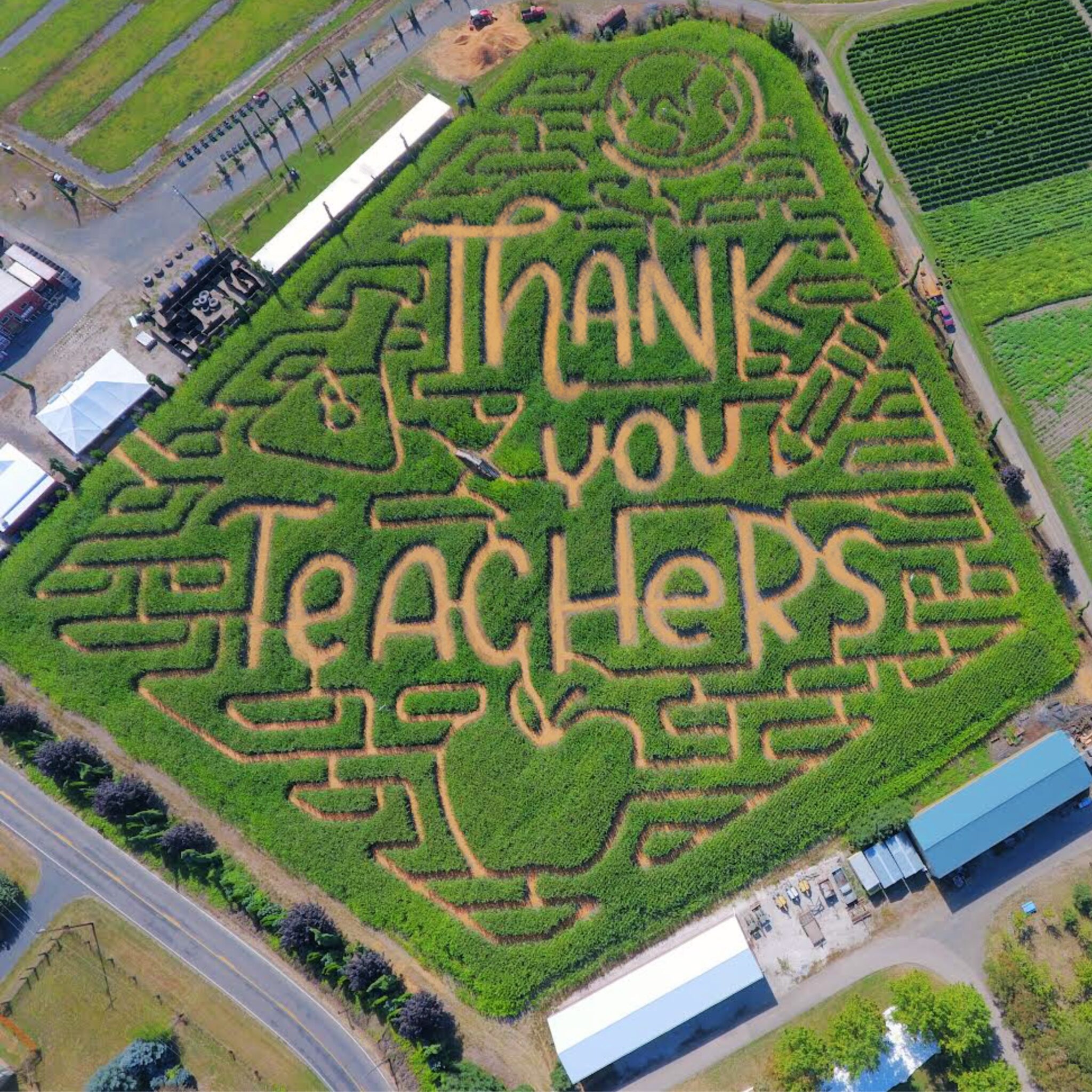 Pumpkin Patch & Corn Maze - Bella Organic Farm - Organic Farm and ...