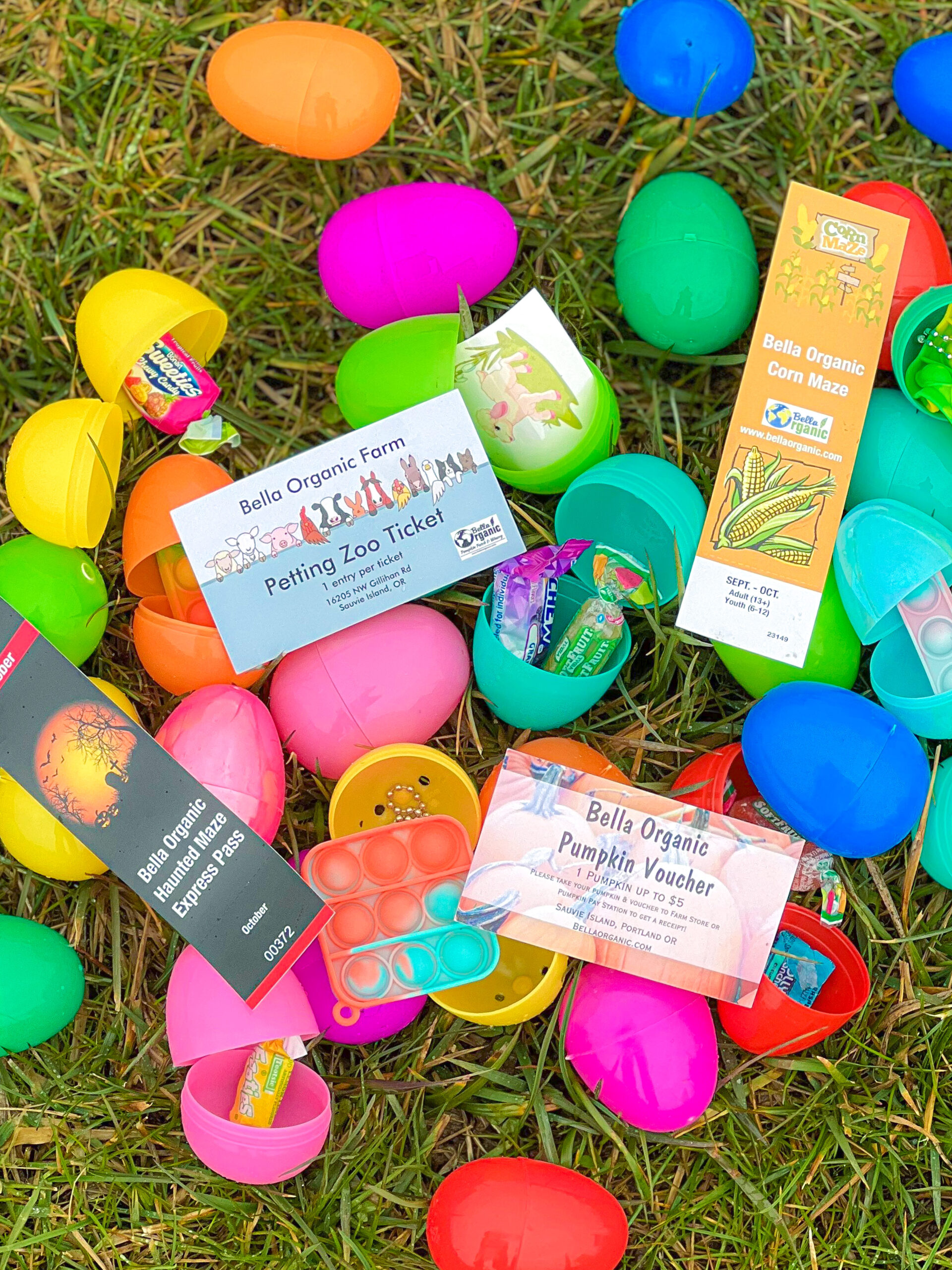 Bella’s Bunny Hop Easter Egg Hunt! - Bella Organic Farm - Organic Farm ...